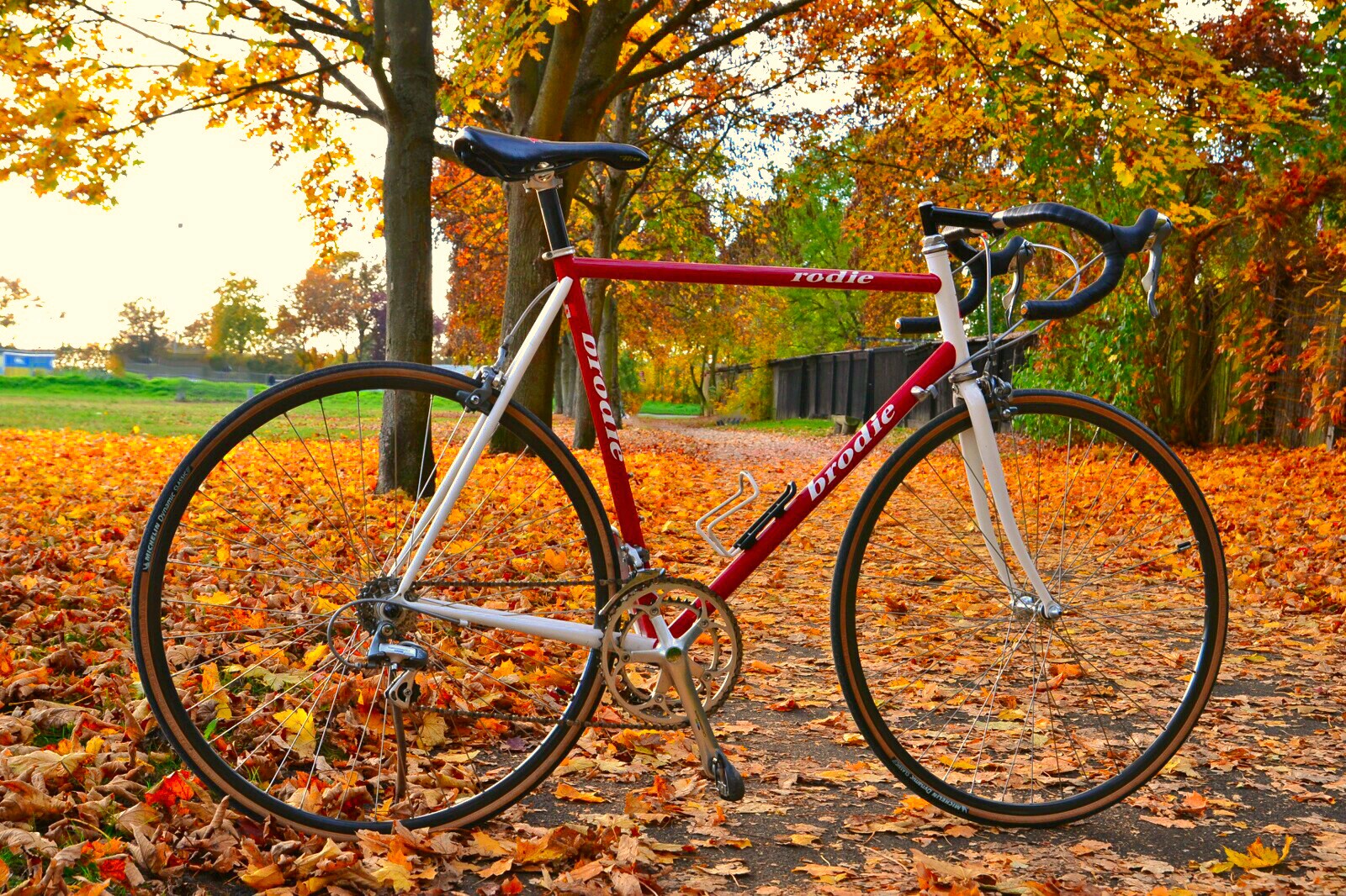 Cult MTB - The Vintage Bike Collection - Home