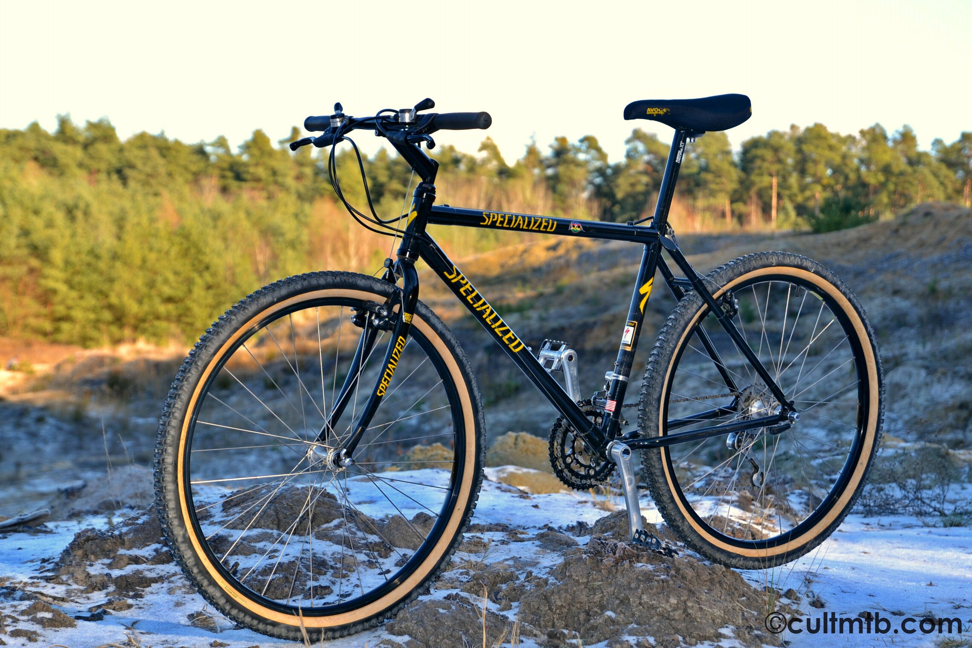 Cult MTB - The Vintage Bike Collection - Specialized Stumpjumper Epic 1991